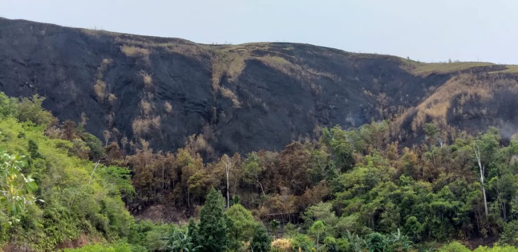 Kadis LH Mansel : Lahan yang Terbakar di Gunung Botak Cukup Luas ...