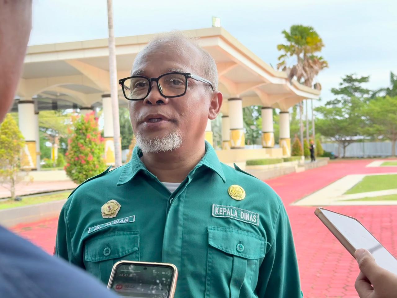 Dinkes Papua Barat Pastikan Belum Ada Kasus Super Flu, Masyarakat ...